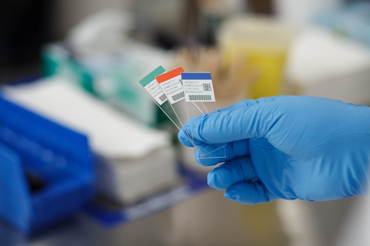 Sample Identification