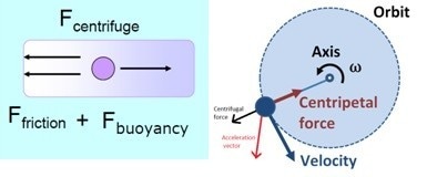 centrifugation steps